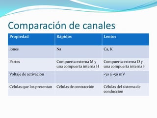 Electrofisiología cardiaca | PPTX