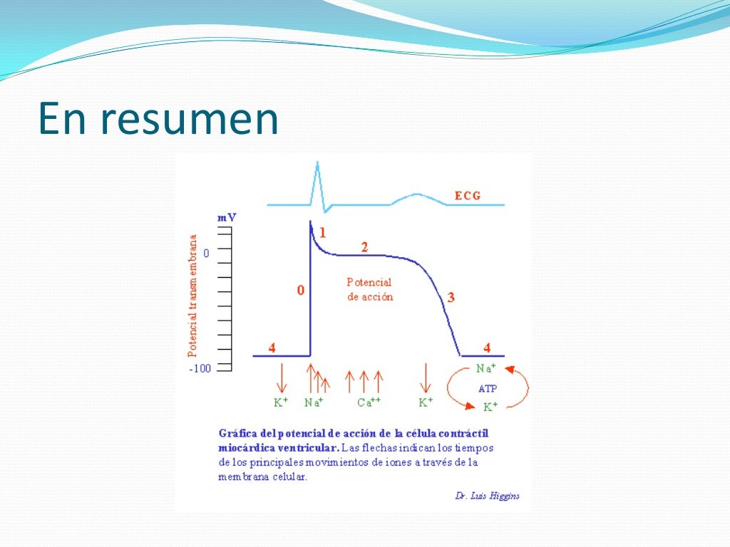 Electrofisiología cardiaca