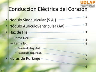 Electrofisiología y EKG/ECG | PPTX