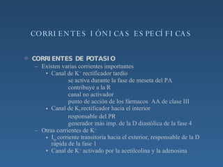 Electrofisiologia Basica Celula Cardiaca | PPT