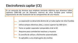 Electroforesis Capilar