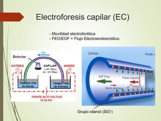 Electroforesis Capilar