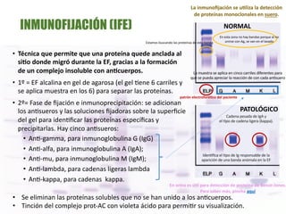 Electroforesis parte III Aplicaciones.pdf