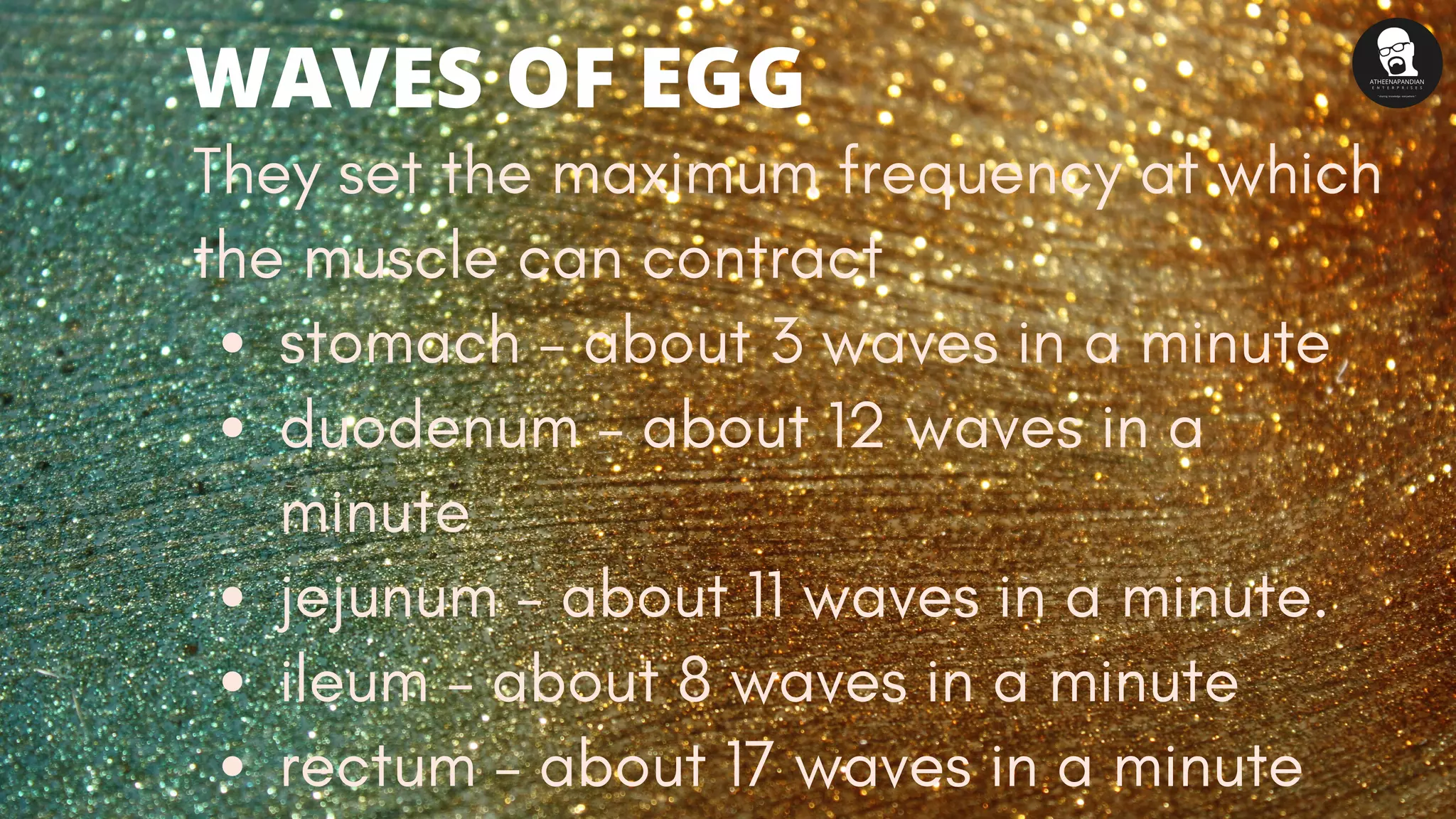 Electrogastrogram basics | PDF