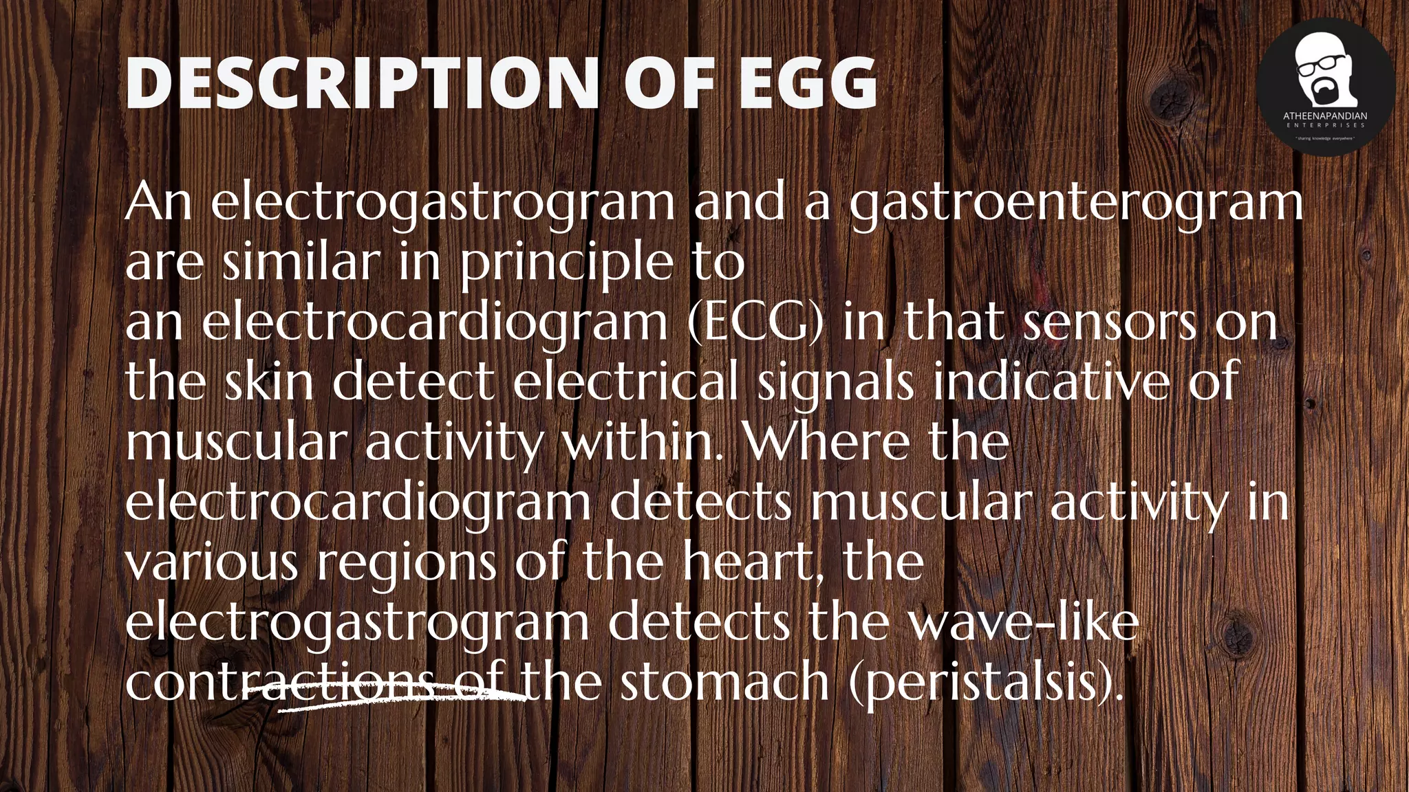 Electrogastrogram basics | PDF