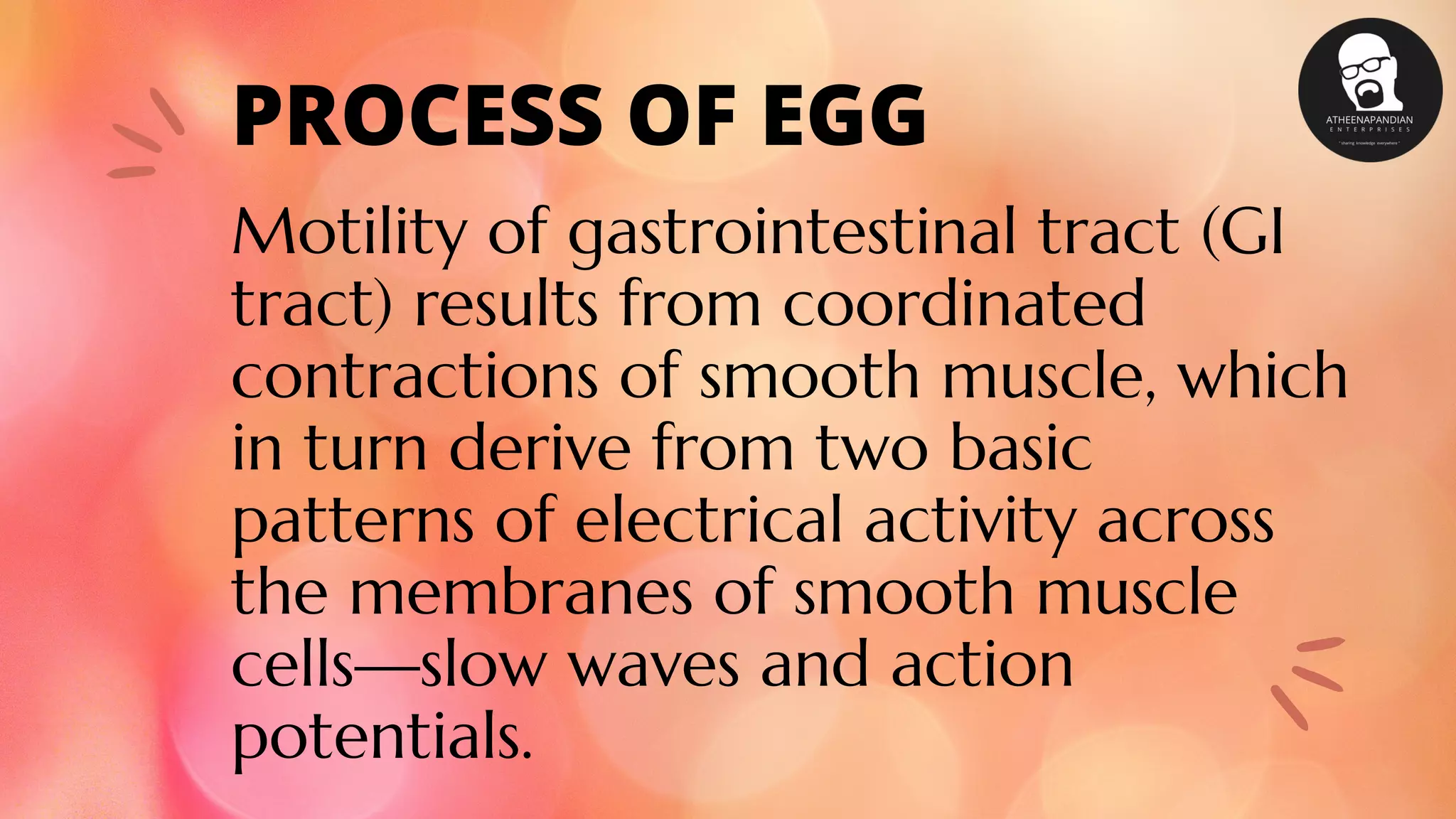 Electrogastrogram basics | PDF
