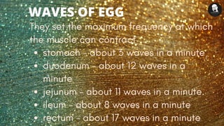 Electrogastrogram basics | PDF