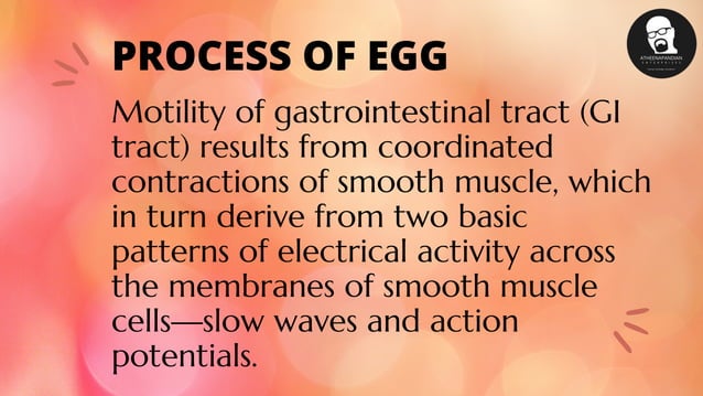 Electrogastrogram basics | PDF | Digestive Disorders | Diseases and ...