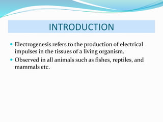 ELECTROGENESIS IN FISHES By ABDUR ROUF SAMIM | PPTX