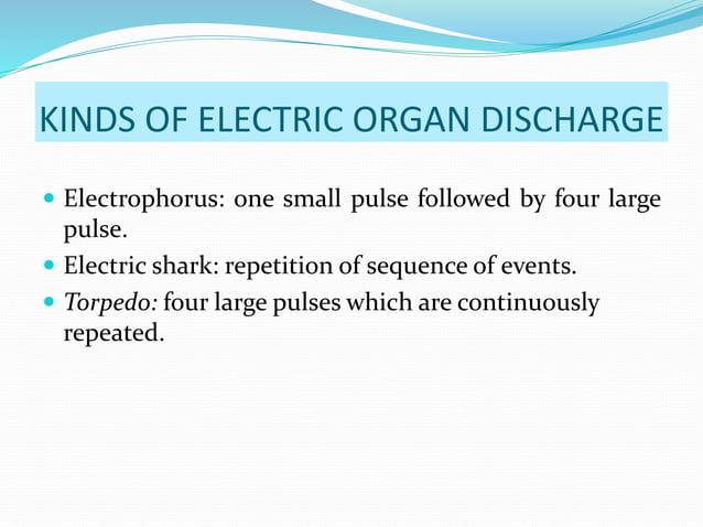 ELECTROGENESIS IN FISHES By ABDUR ROUF SAMIM | PPTX | Fish and ...