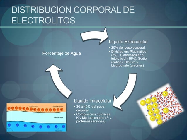 Electrolitos | PPTX
