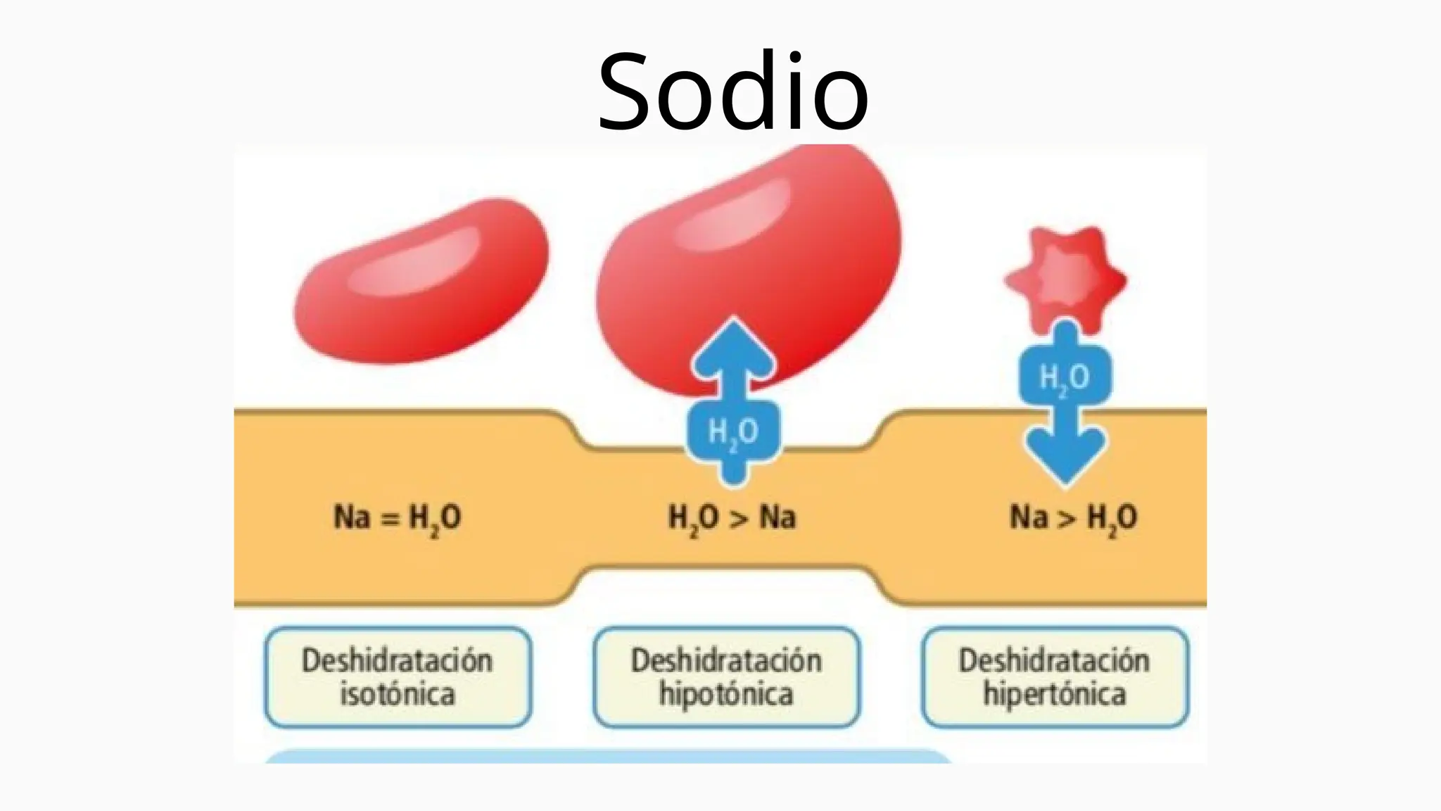 ELECTROLITOS Y SU INTERACCION EN EL CUERPO | PPTX