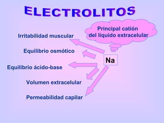 Electrolitos | PPT