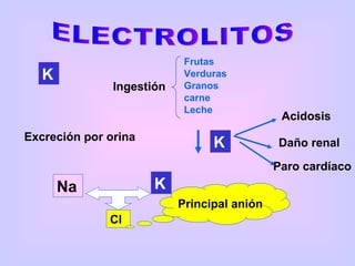 Electrolitos | PPT