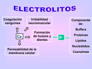 Electrolitos | PPT