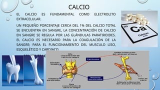 Electrolitos : Sodio, potasio, cloro, calcio, fosforo y magnesio | PPTX