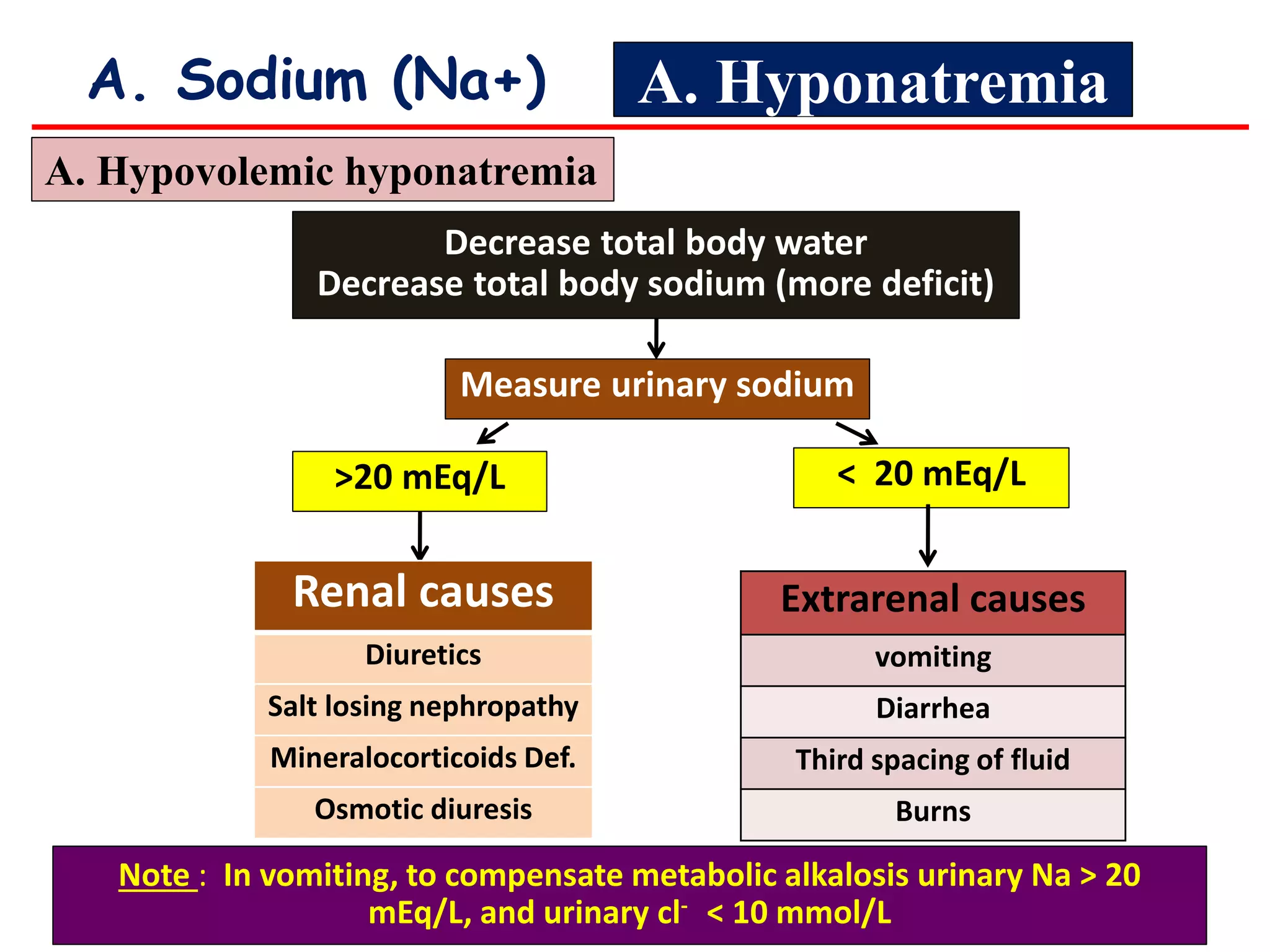 Electrolyte | PPTX