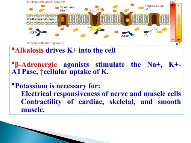 electrolyte disturbance and how to manage | PPT