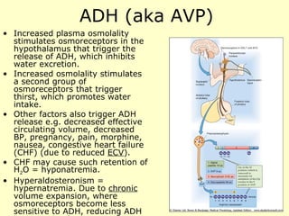 SSU Lecture 2 | PPT