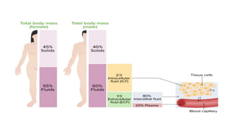 electrolyte emergency-1.pptx electrolyte emergency-1.pptx