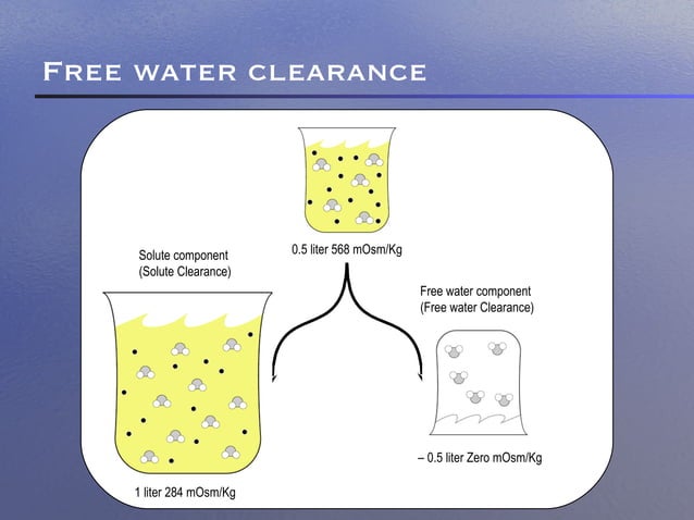 Electrolyte Free Water Clearance | PPT