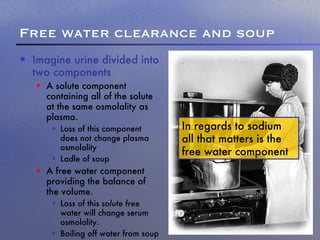 Electrolyte Free Water Clearance | PPT