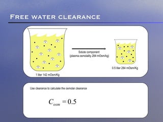Electrolyte Free Water Clearance | PPT