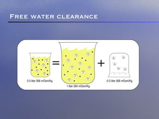 Electrolyte Free Water Clearance | PPT