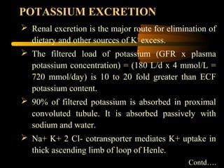 Electrolyte imbalance potassium | PPT