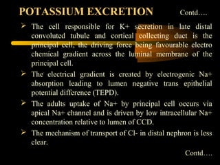 Electrolyte imbalance potassium | PPT