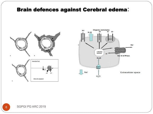 electrolyte imbalance-ppt-1_230816_154651.pdf