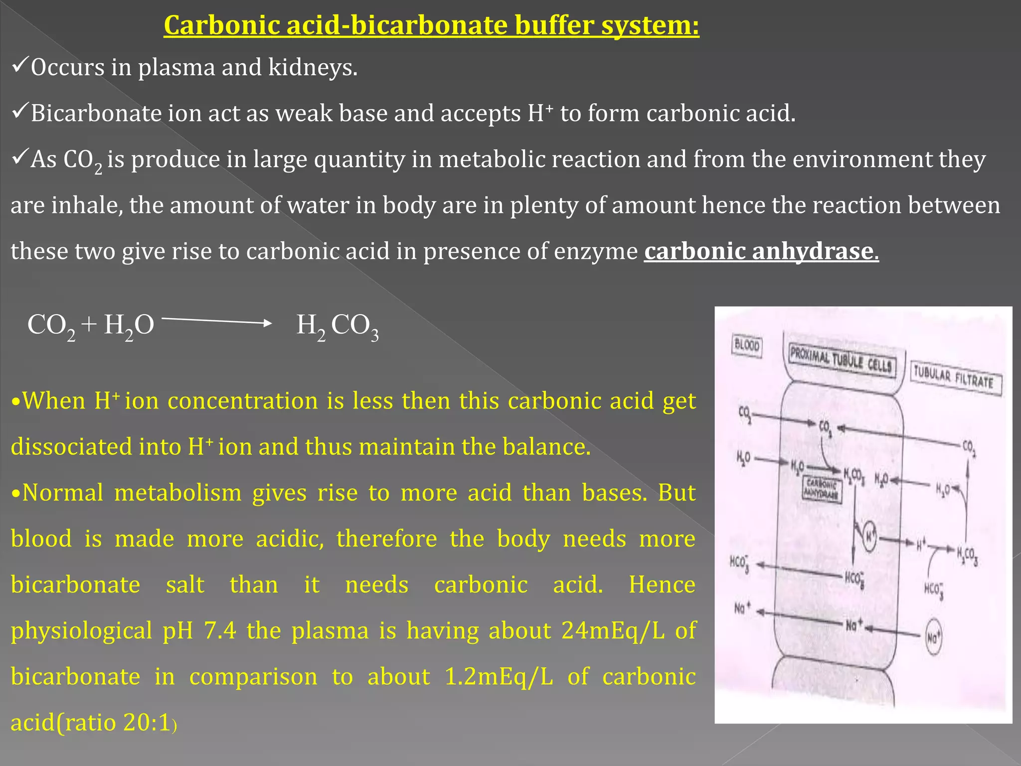 Electrolyte replenishers in Inorganic chemistry / Body therapy | PPT