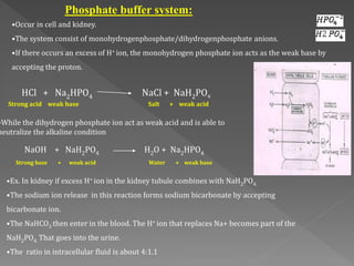 Electrolyte replenishers in Inorganic chemistry / Body therapy | PPT