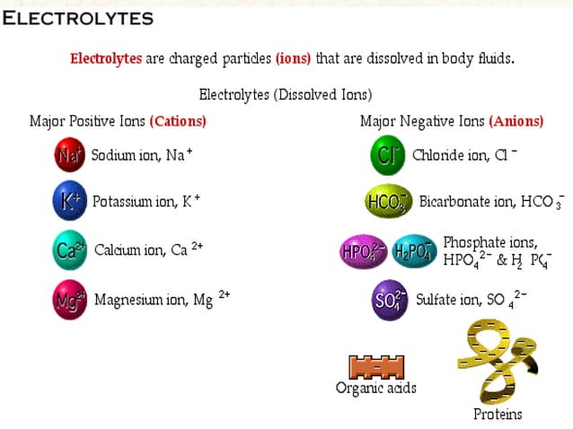 Electrolytes | PPT | Digestive Disorders | Diseases and Conditions