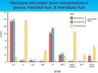 Electrolytes and fluids | PPTX