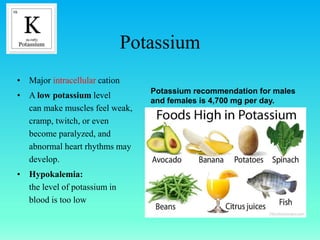 Electrolytes and fluids | PPTX