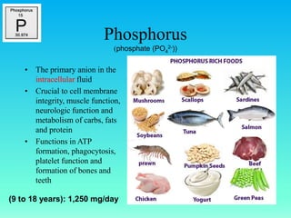 Electrolytes and fluids | PPTX