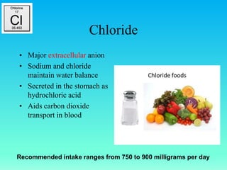 Electrolytes and fluids | PPTX