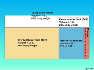 Electrolytes and fluids | PPTX