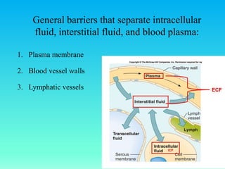 Electrolytes and fluids | PPTX