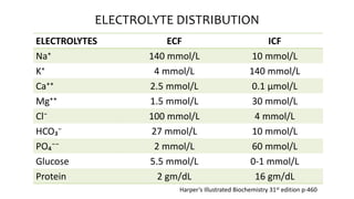 Major Electrolytes & Their Homeostasis Part-1 | PPTX
