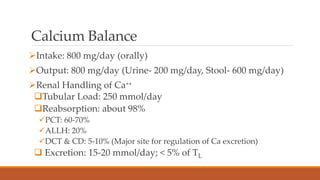Major Electrolytes & Their Homeostasis Part-2 | PPT