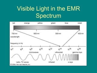 Electromagnetic Waves | PPT