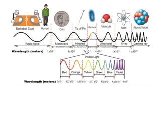 electromagnetic spectrum and its frequencies.docx