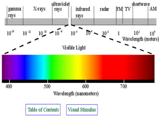 Electromagnetic waves and Speed of Light | PPTX