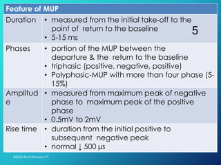 Electromyography (EMG) - Physiotherapy - Dr Rohit Bhaskar | PDF