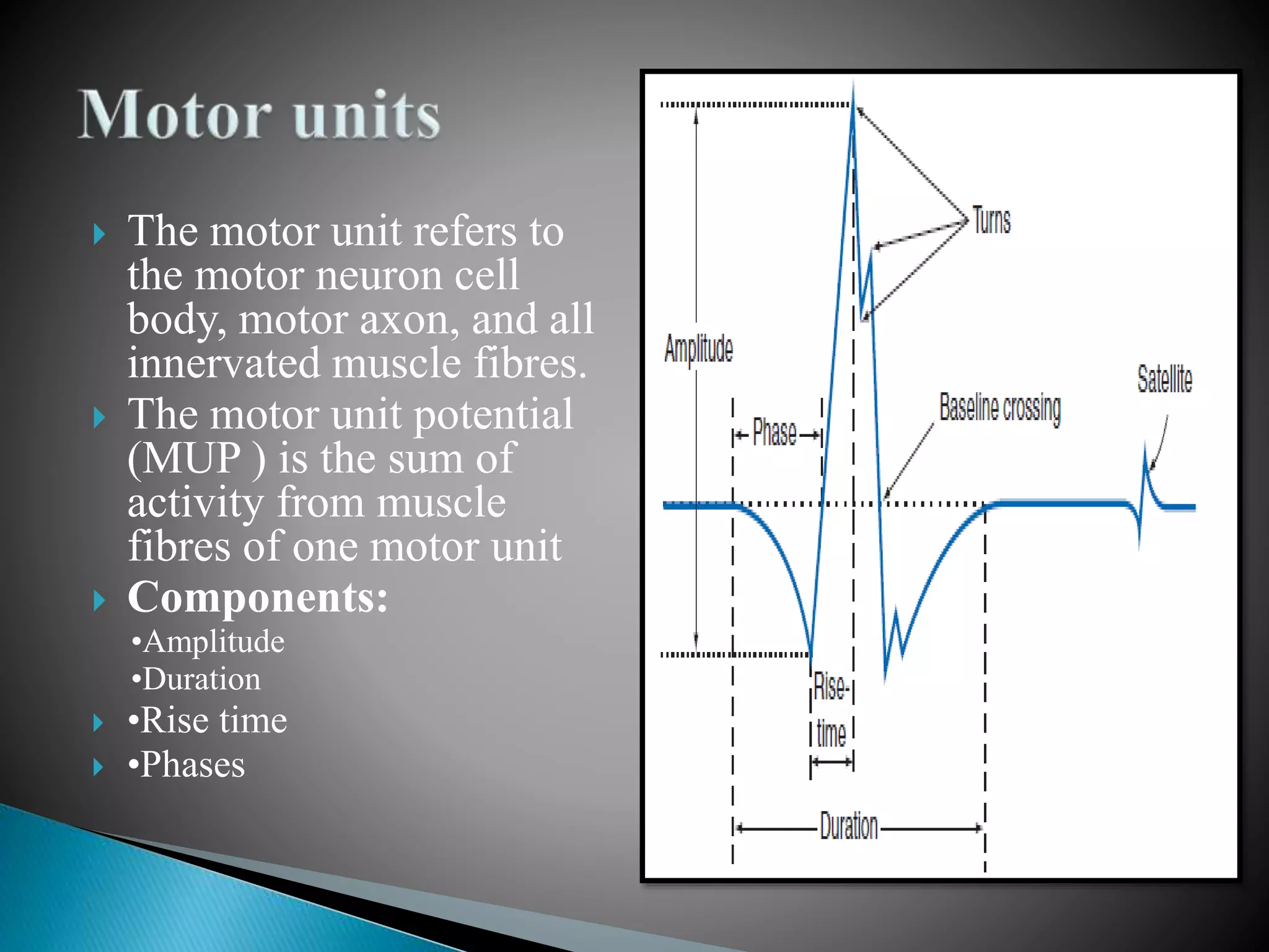 Electromyography (EMG) Basics | PPTX