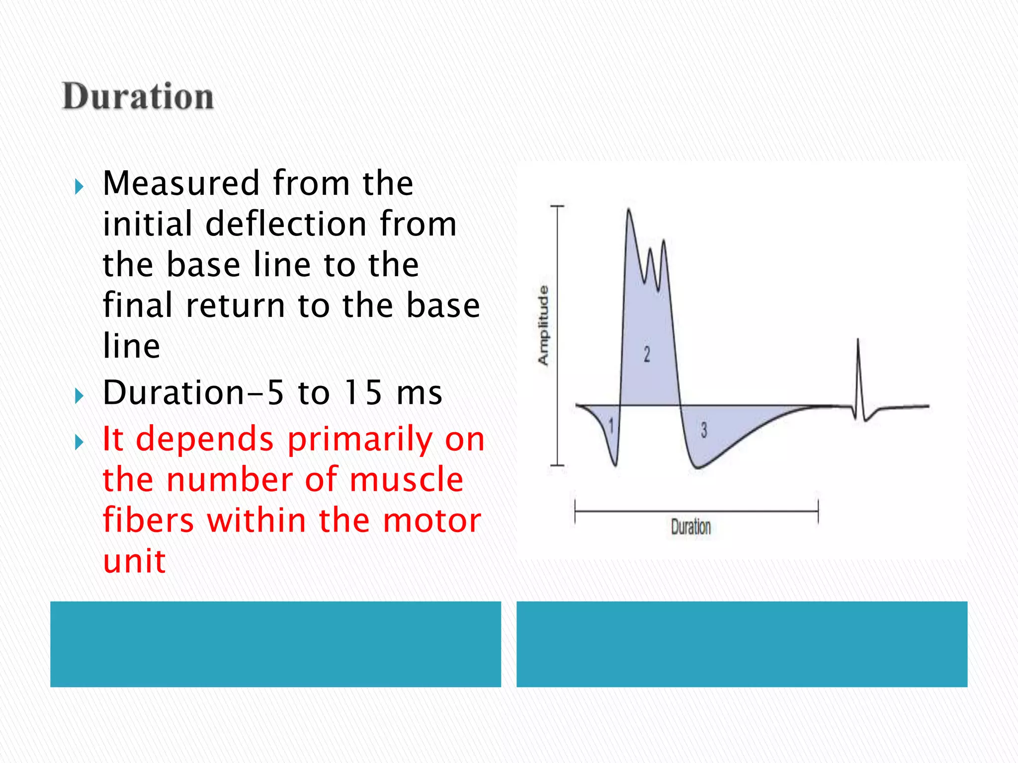Electromyography (EMG) Basics | PPTX