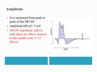 Electromyography (EMG) Basics | PPTX