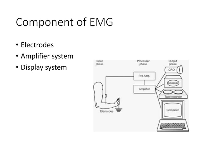 Electromyography | PPTX | Computer Peripherals | Computing